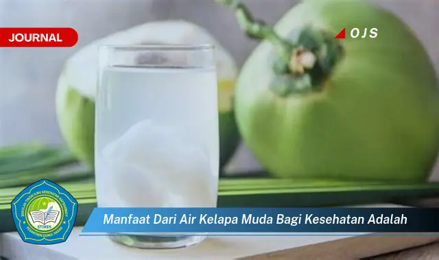 Jarang Diketahui, 10 Manfaat Air Kelapa Muda bagi Kesehatan yang Bikin ... Jarang Diketahui, 10 Manfaat Air Kelapa Muda bagi Kesehatan yang Bikin ...