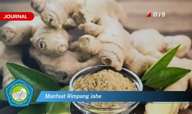 Intip 6 Manfaat Ajaib Rimpang Jahe yang Bikin Kamu Penasaran - E-Journal Intip 6 Manfaat Ajaib Rimpang Jahe yang Bikin Kamu Penasaran - E-Journal